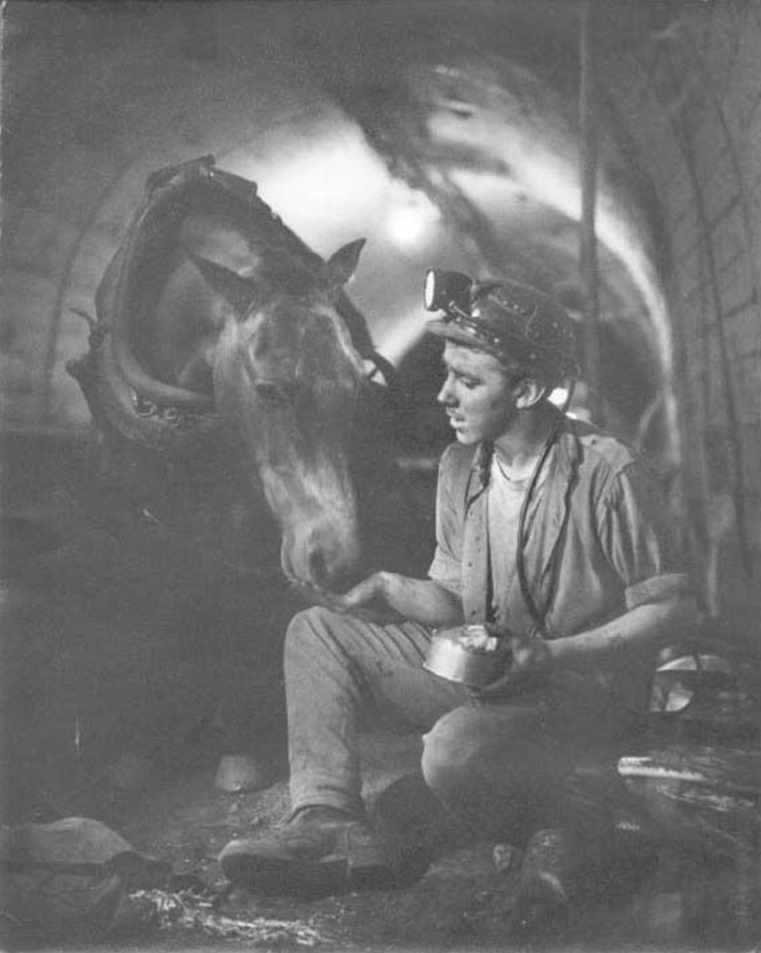 Voices in the Coalshed: Pony Drivers - National Coal Mining Museum