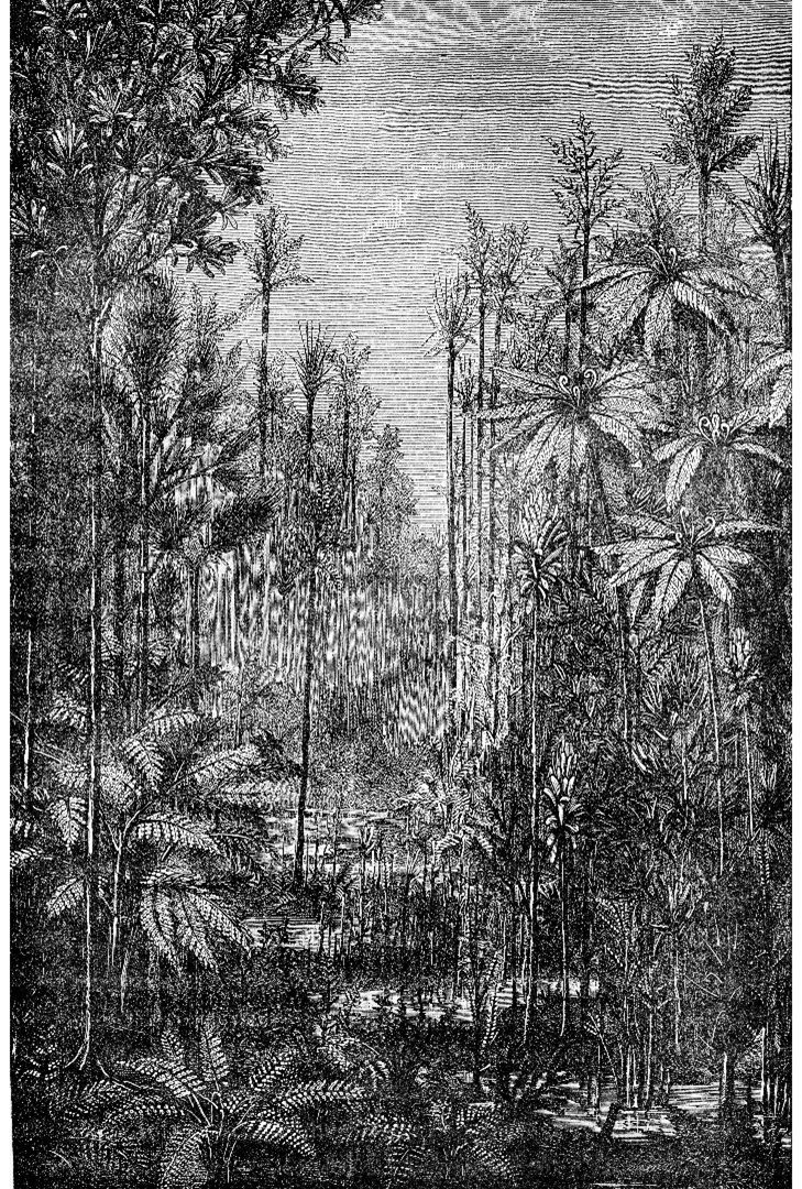 Voices in the Coalshed: Lepidodendron, Amazing Giant from the Plant ...